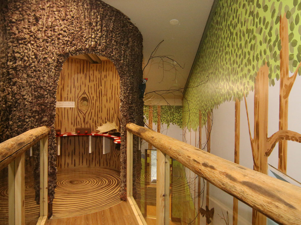 Exhibits & Activities - Vermont Institute of Natural Science