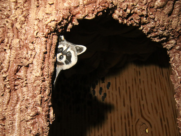 Forest Exhibit - Vermont Institute of Natural Science