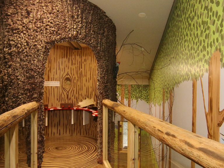 Forest Exhibit - Vermont Institute of Natural Science