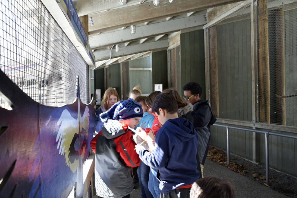 Explore VINS - Vermont Institute of Natural Science