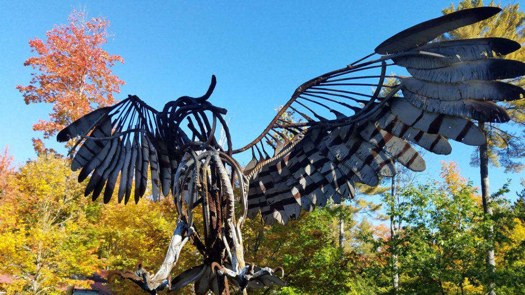 Explore VINS - Vermont Institute of Natural Science