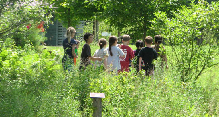 VINS Nature Center - Vermont Institute of Natural Science