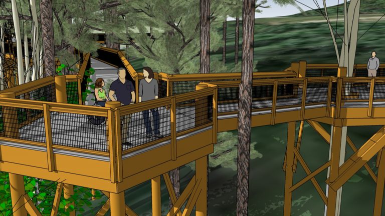 Join Us Among the Trees at VINS - Vermont Institute of Natural Science