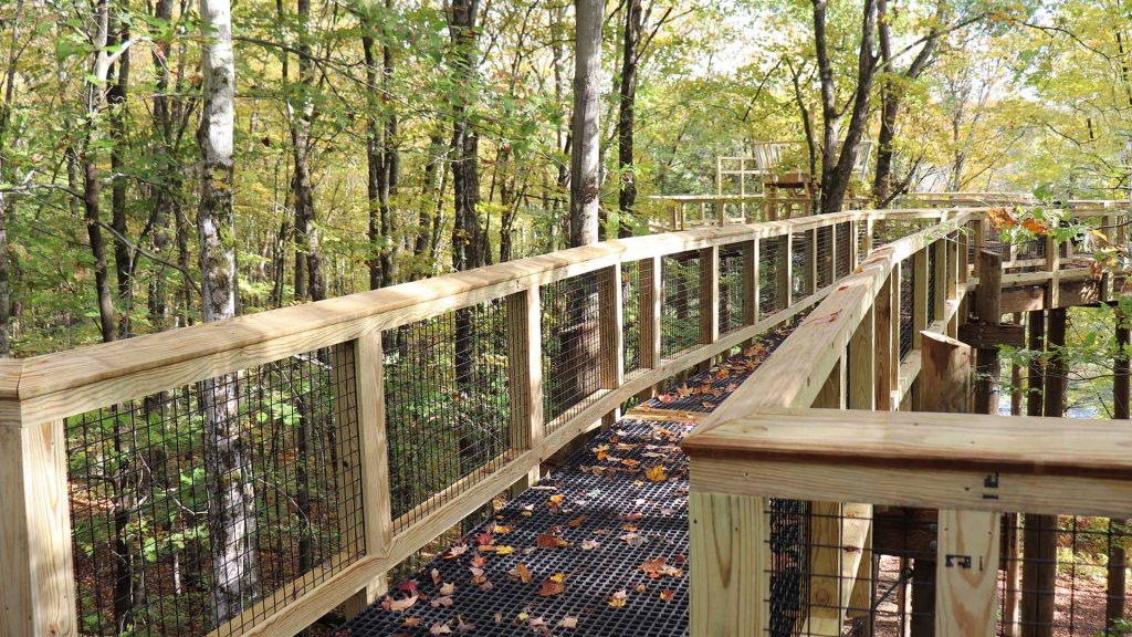 Forest Canopy Walk - Vermont Institute of Natural Science
