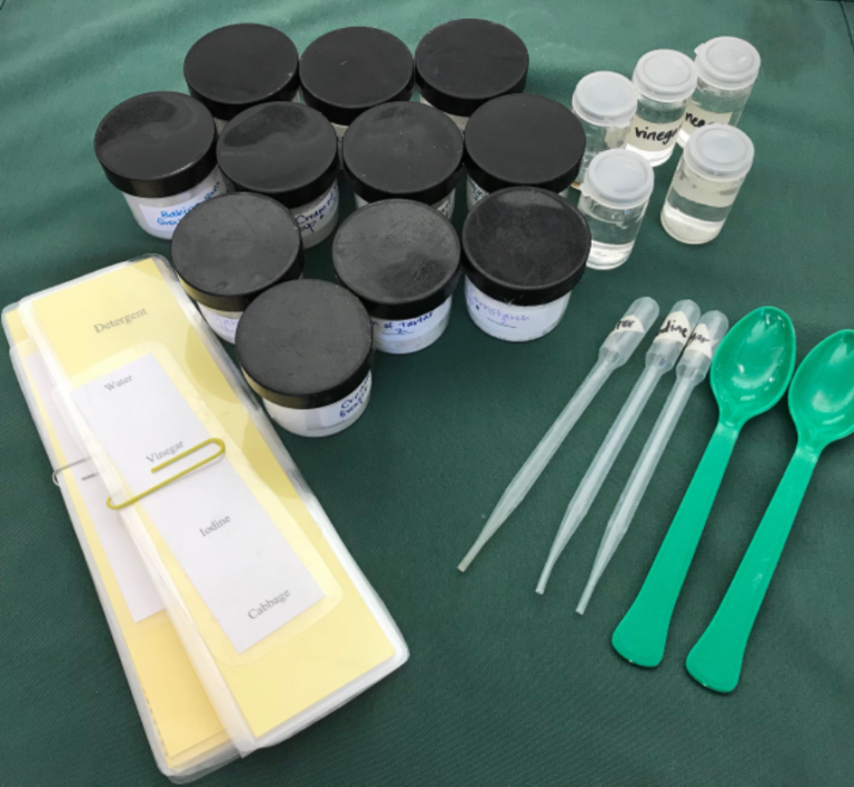 Mystery Powders Kit - Vermont Institute of Natural Science