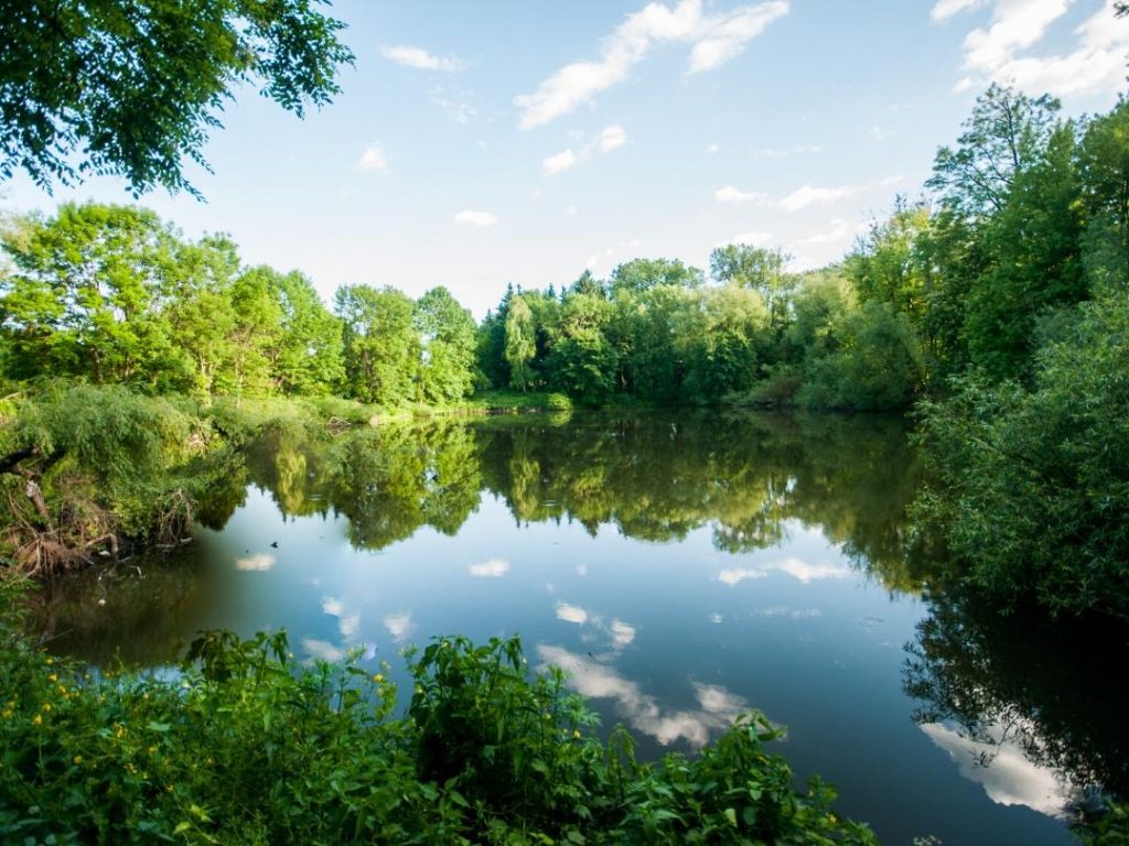 Shapes of Land, Bodies of Water - Vermont Institute of Natural Science