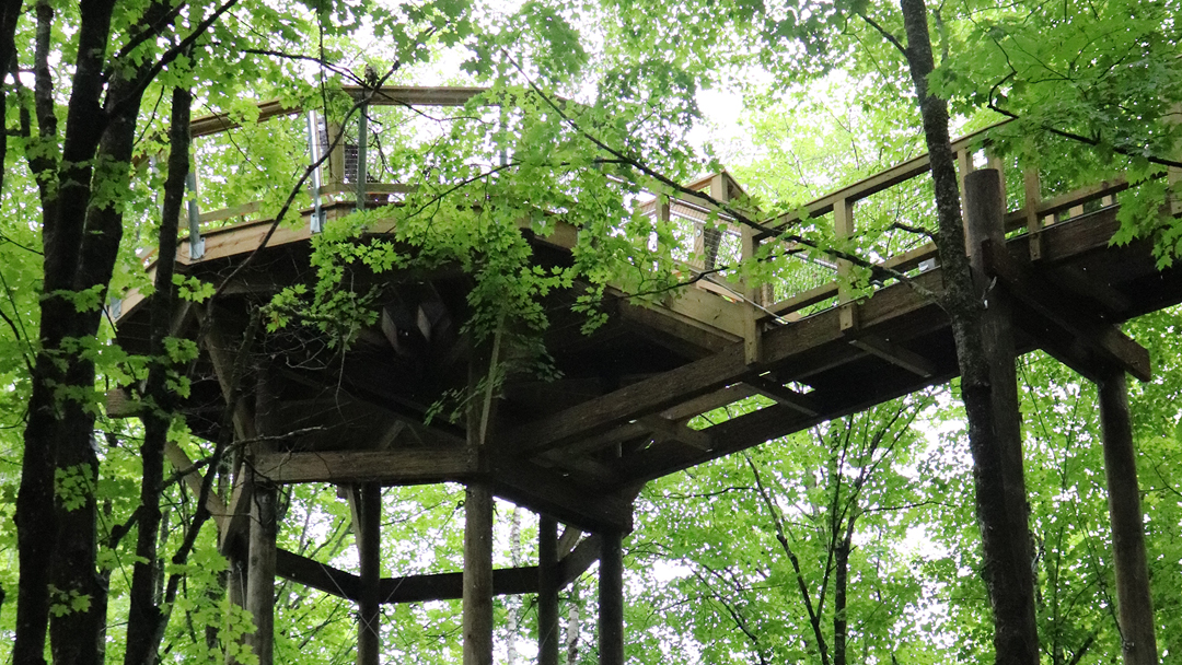 VINS Works to Meet Educational Needs - Vermont Institute of Natural Science