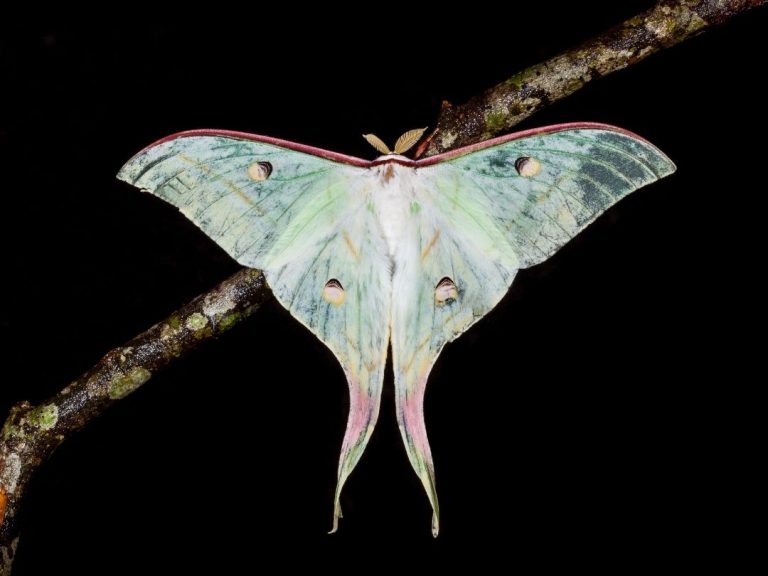 Visit - Vermont Institute of Natural Science