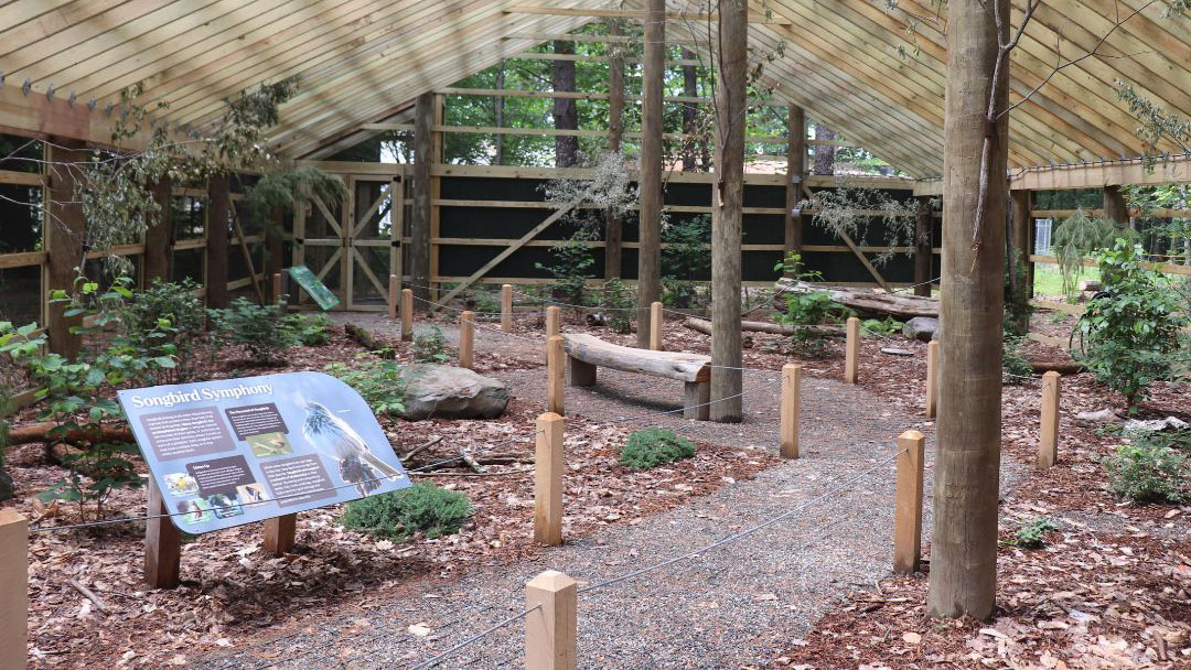 VINS Announces New Exhibit - Songbird Aviary - Vermont Institute of ...