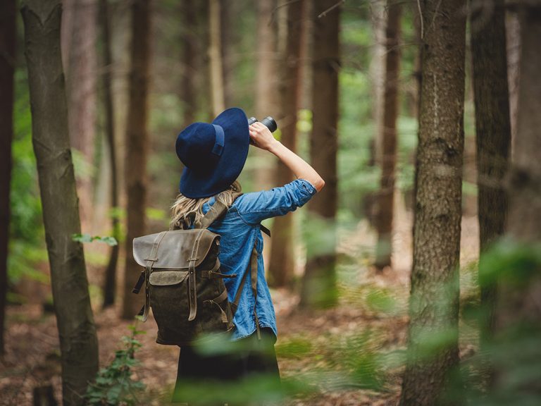 Home - Vermont Institute of Natural Science