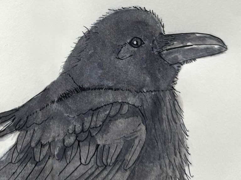 Visit - Vermont Institute of Natural Science