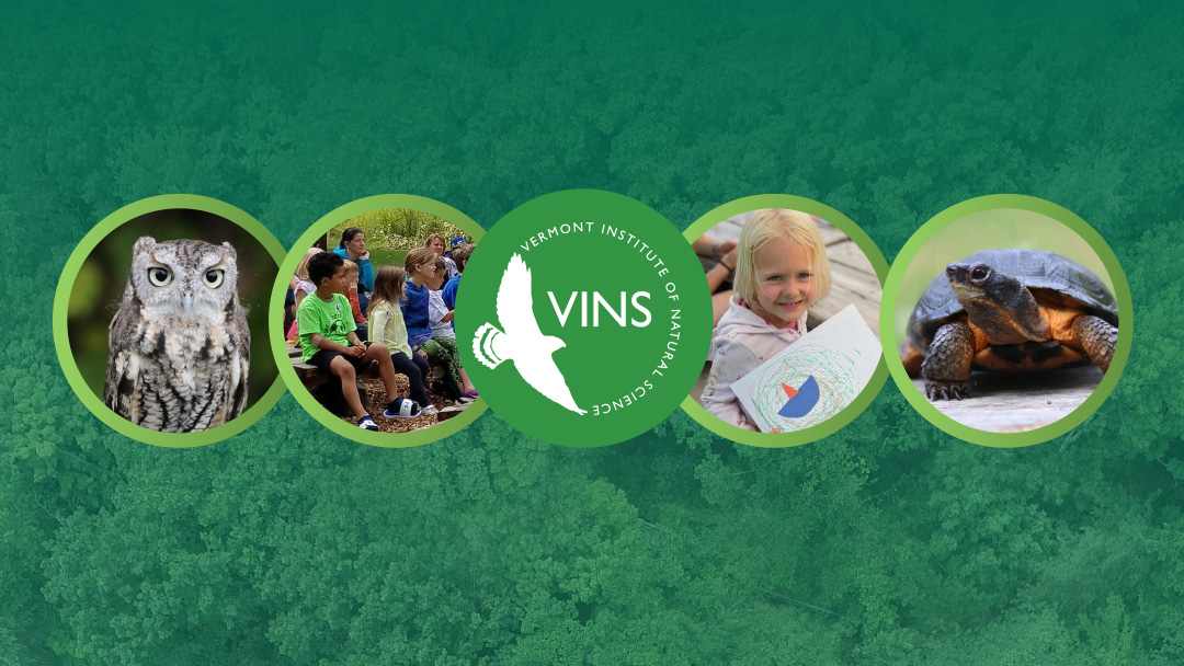VINS Celebrates 20 Years in Quechee - Vermont Institute of Natural Science