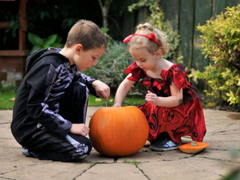 Visit - Vermont Institute of Natural Science