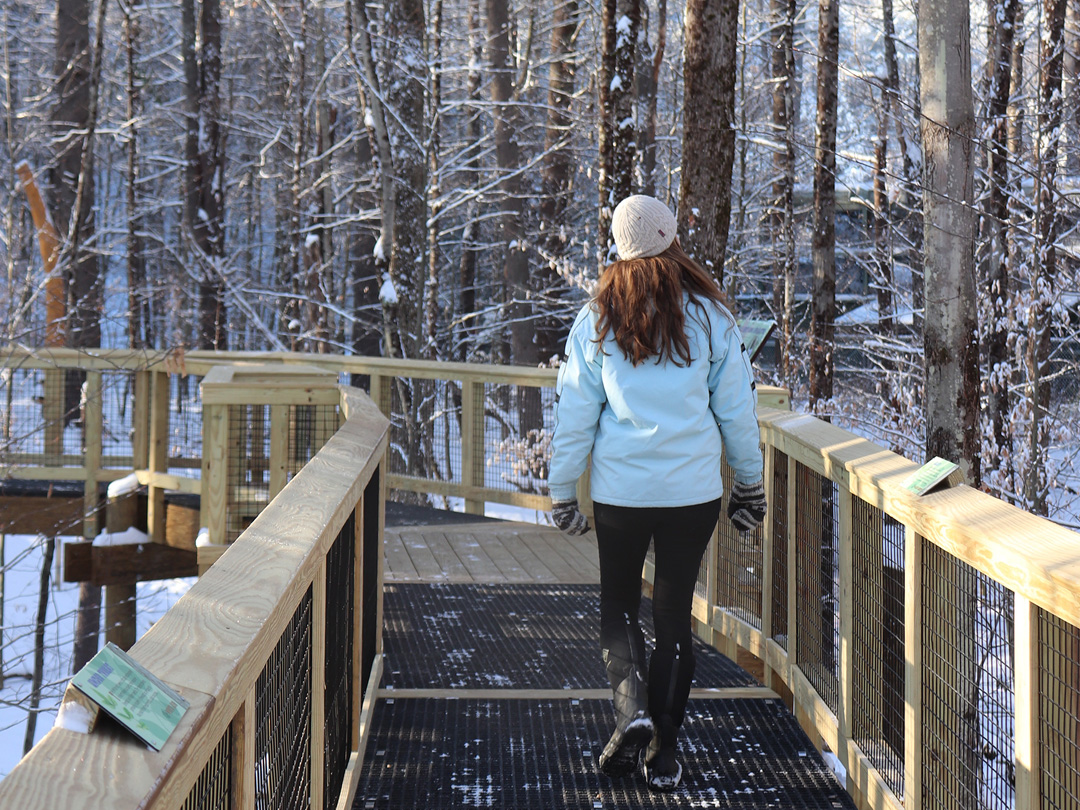 Home - Vermont Institute of Natural Science
